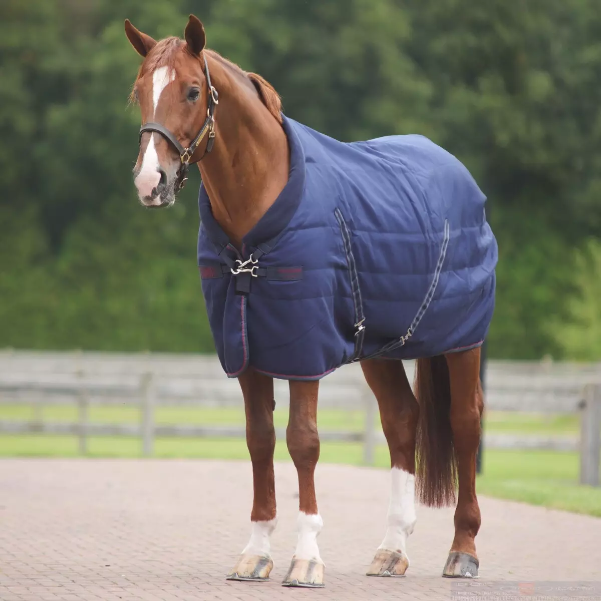 Rambo Cosy Stable rug 100g, 160 cm - Stigsbergs Gård