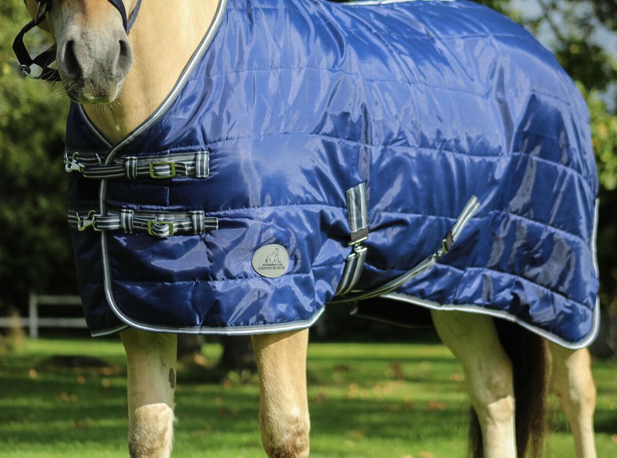 Stalltäcke 100g 420D Reglerbar, Stigsbergs Gård - Stigsbergs Gård