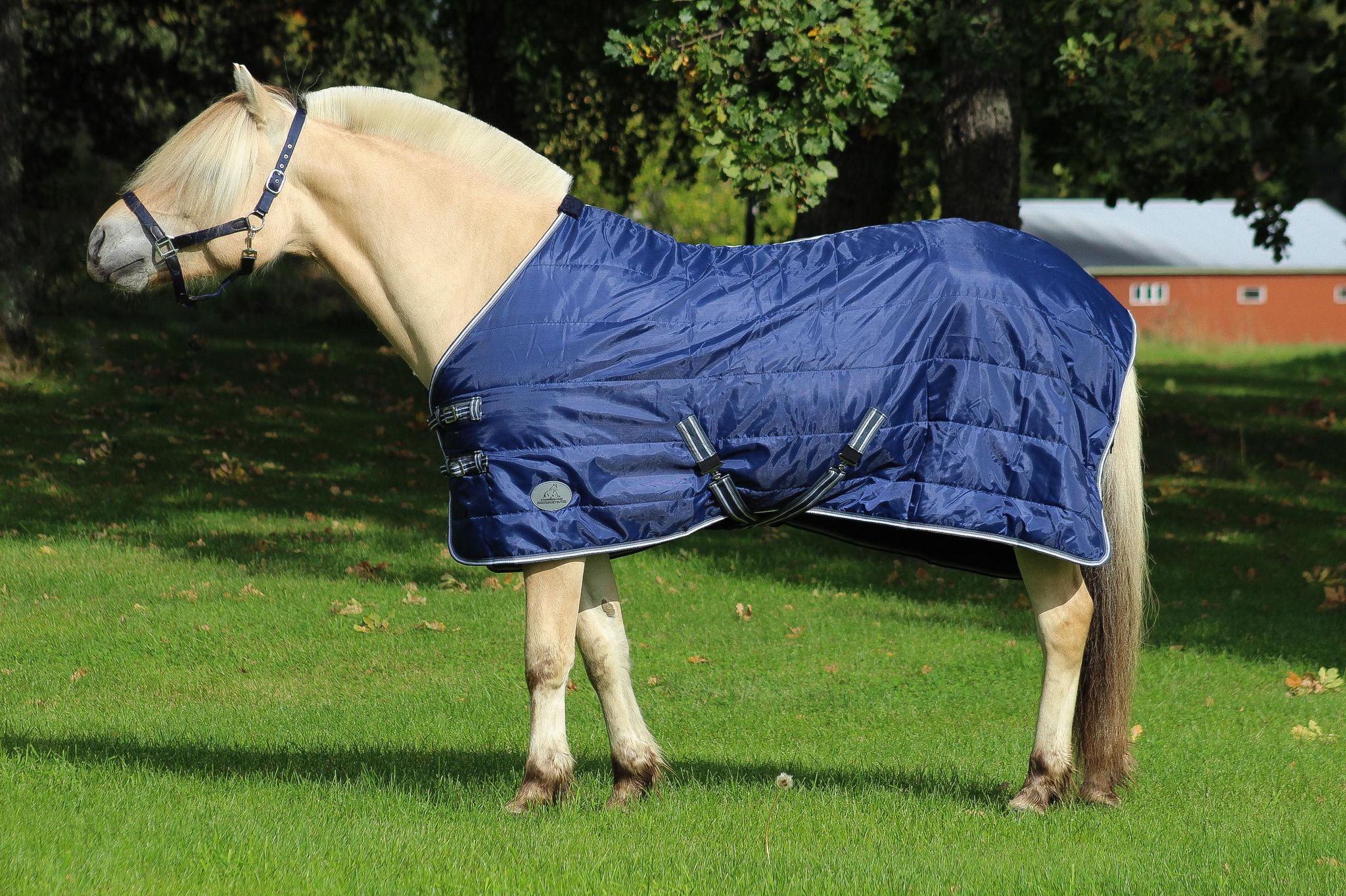 Stalltäcke 100g 420D Reglerbar, Stigsbergs Gård - Stigsbergs Gård