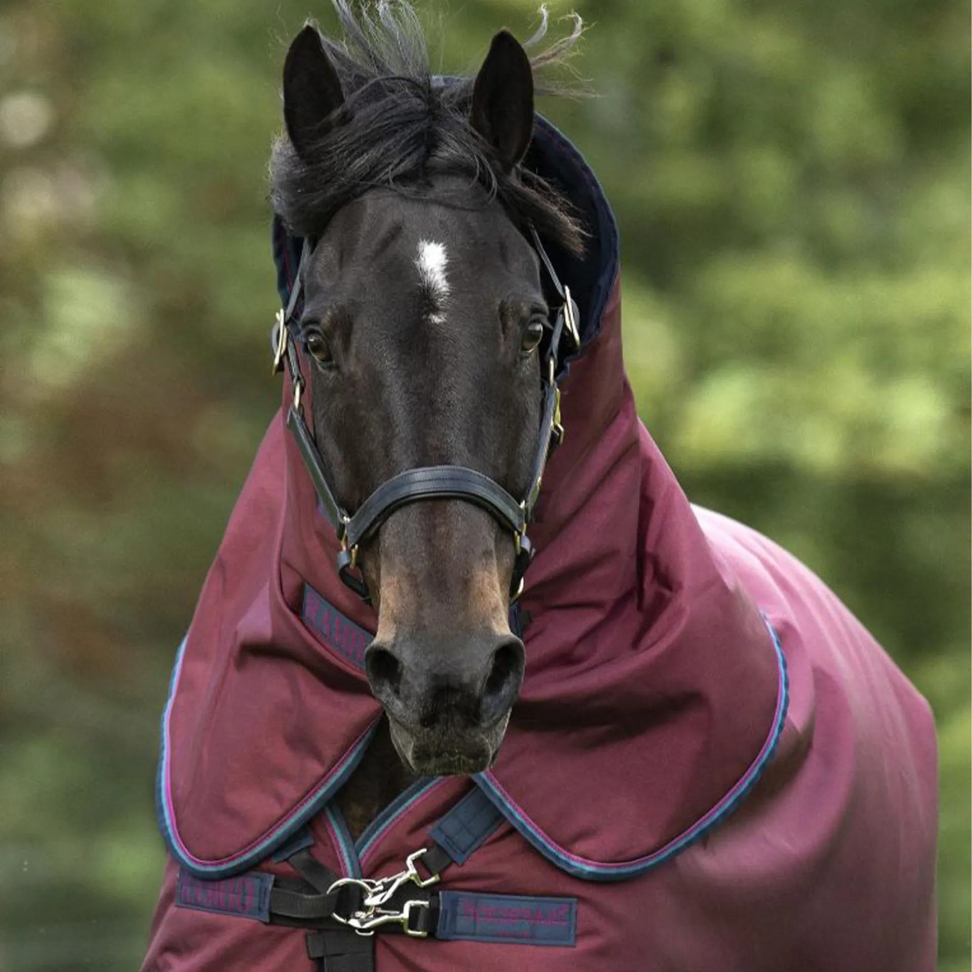 Hals Rambo Orig Hood Lite 0g, M - Stigsbergs Gård